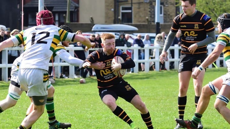 Main Homepage - Harrogate Pythons