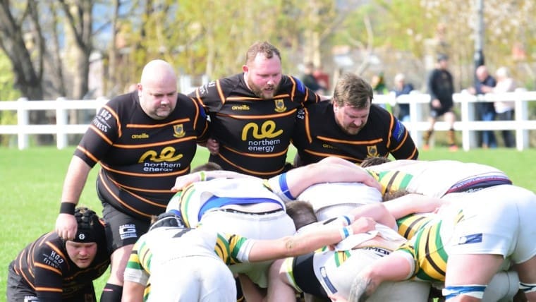 Main Homepage - Harrogate Pythons