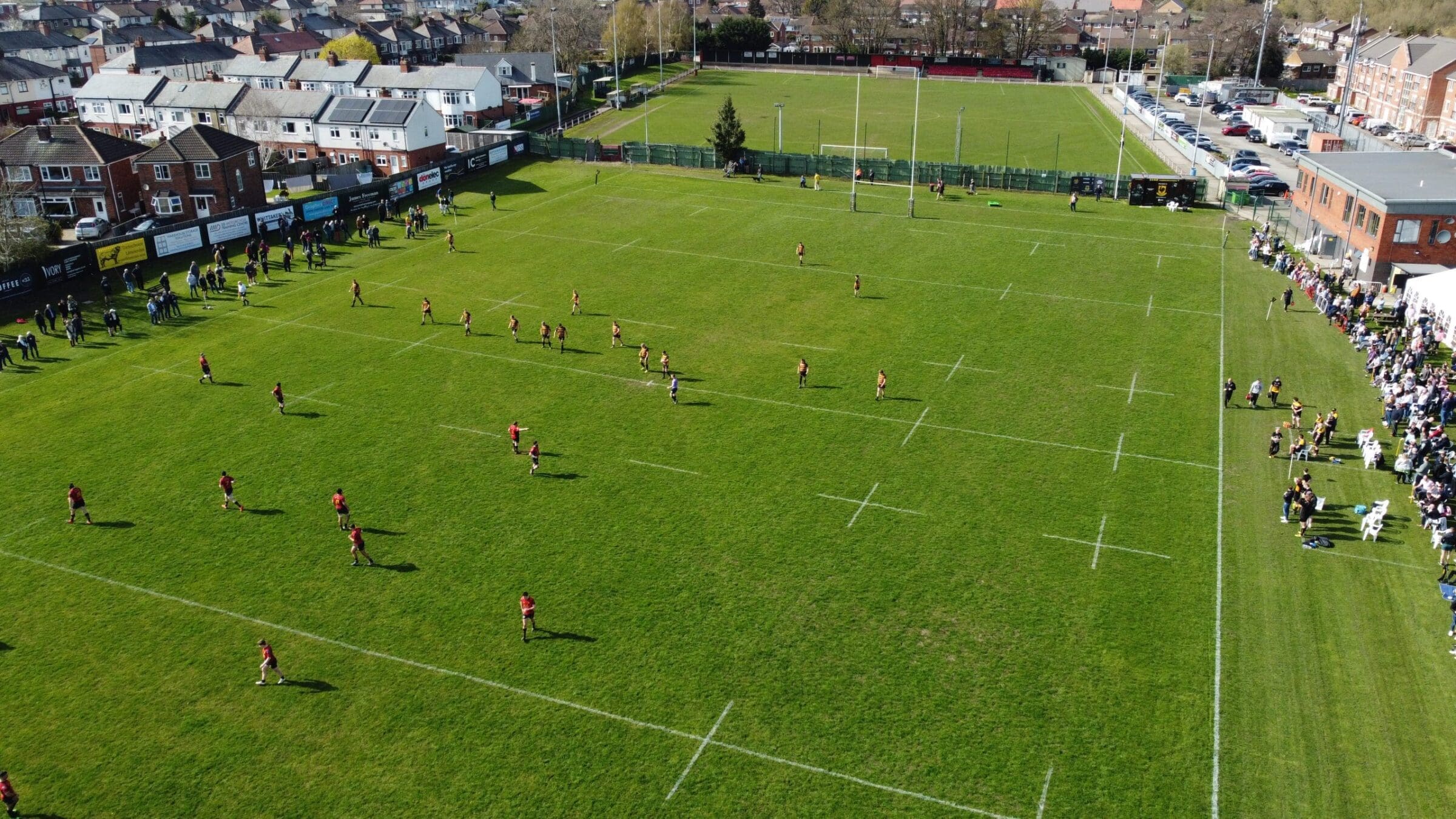 Main Homepage - Harrogate Pythons