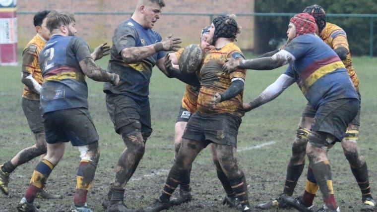 Main Homepage - Harrogate Pythons